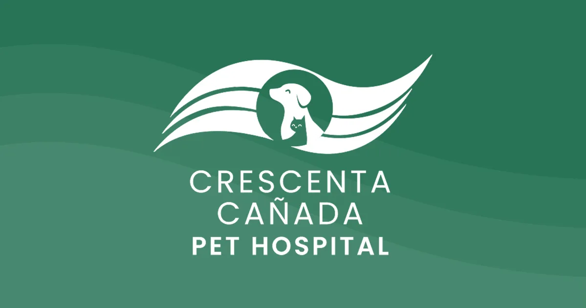 Cat Facts - Crescenta Cañada Pet Hospital