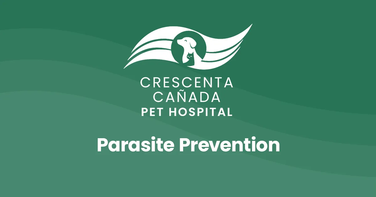 Parasite Prevention - Crescenta Cañada Pet Hospital